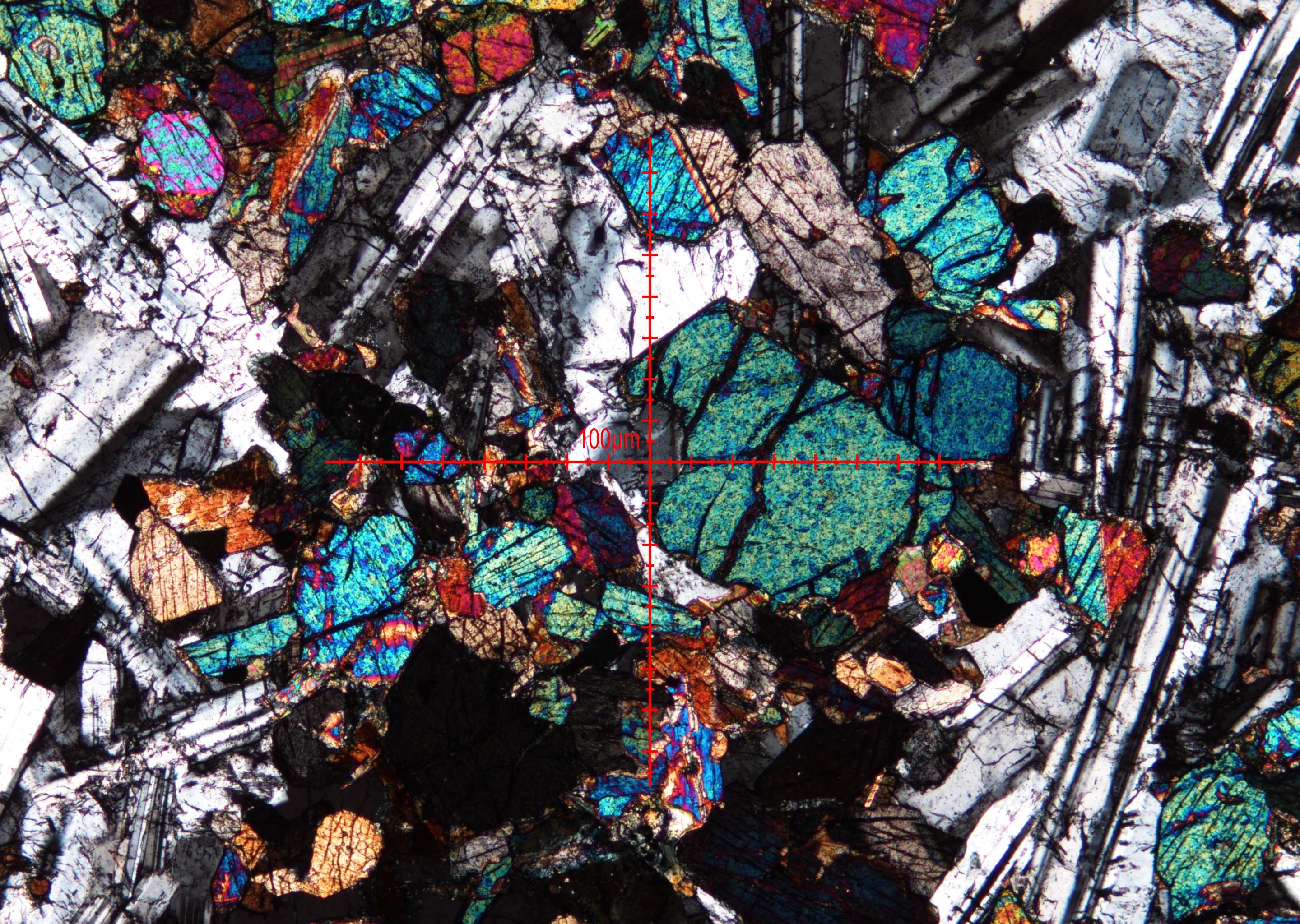 GEOL242