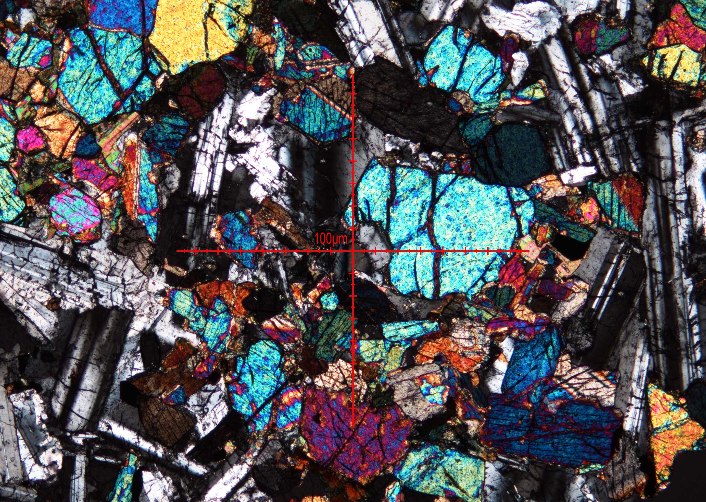 GEOL242