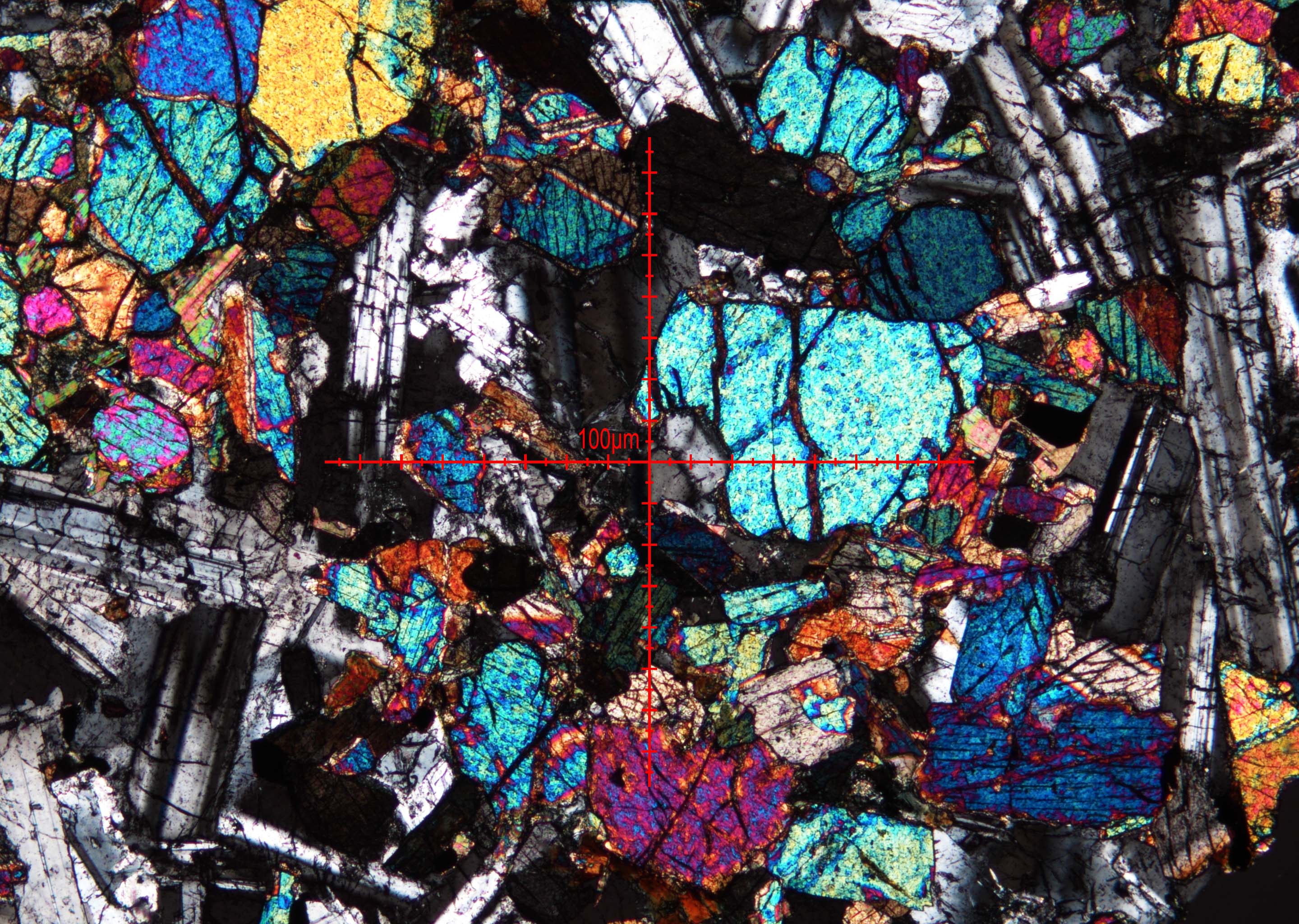 GEOL242