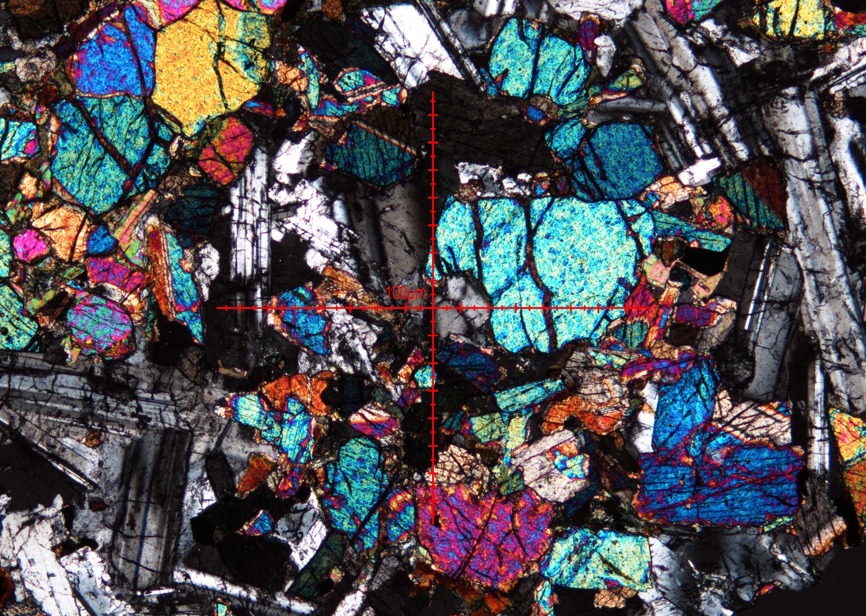 GEOL242
