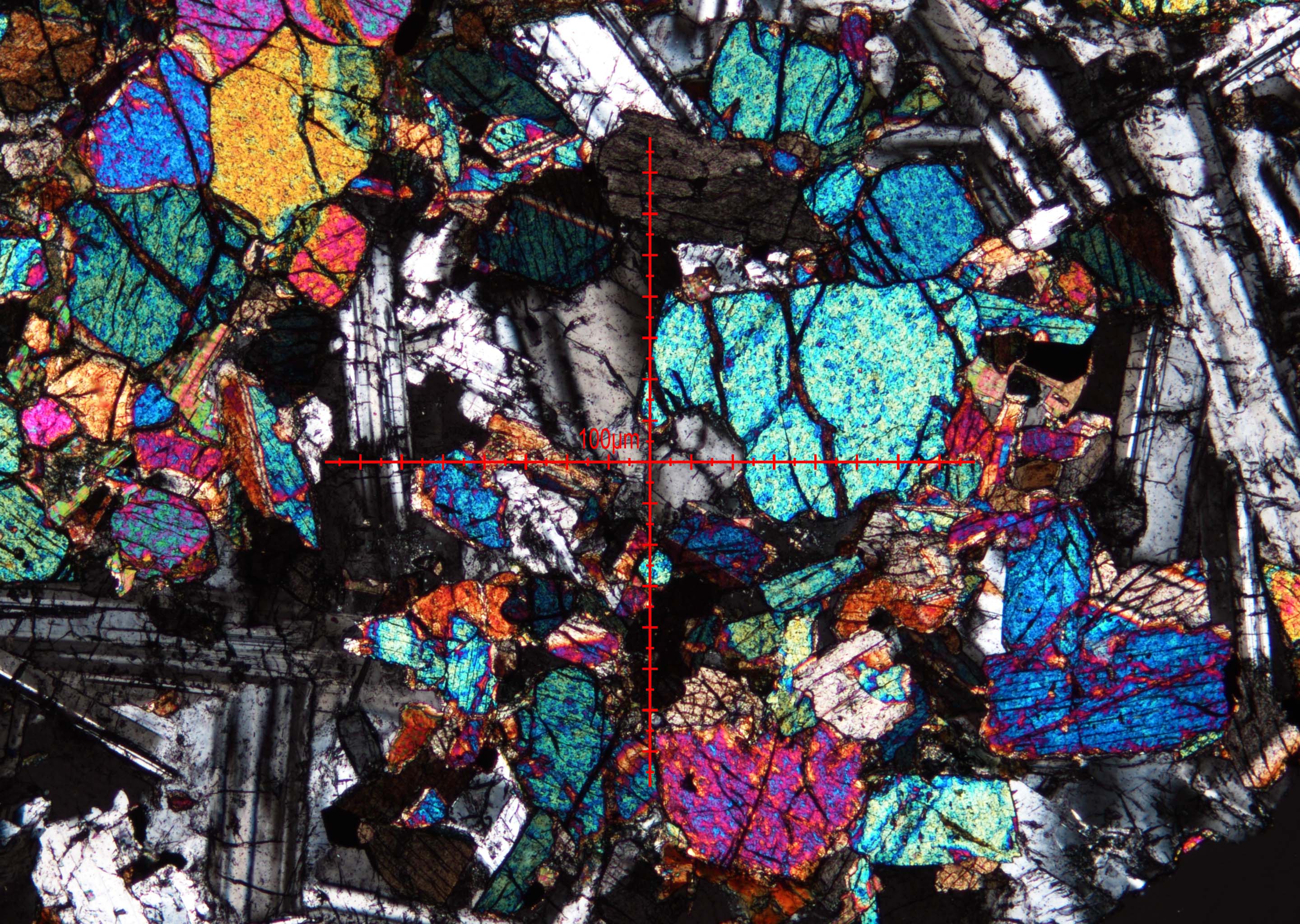 GEOL242