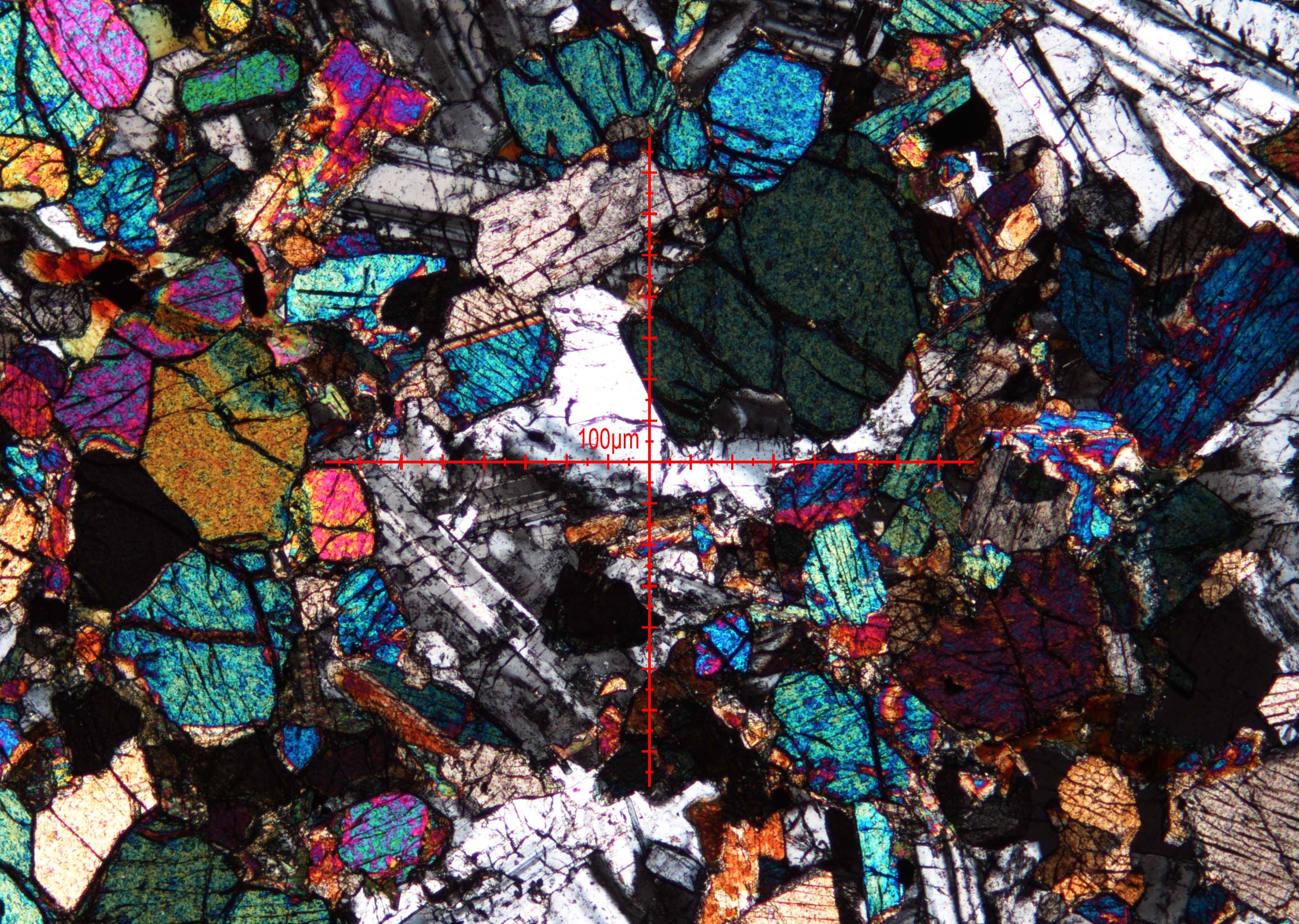 GEOL242